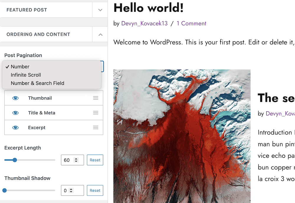 How to Solve: "Avoid an Excessive DOM Size" in WordPress