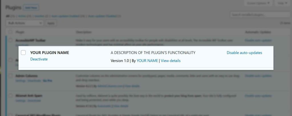 4 Steps to Become a WordPress Plugin Developer