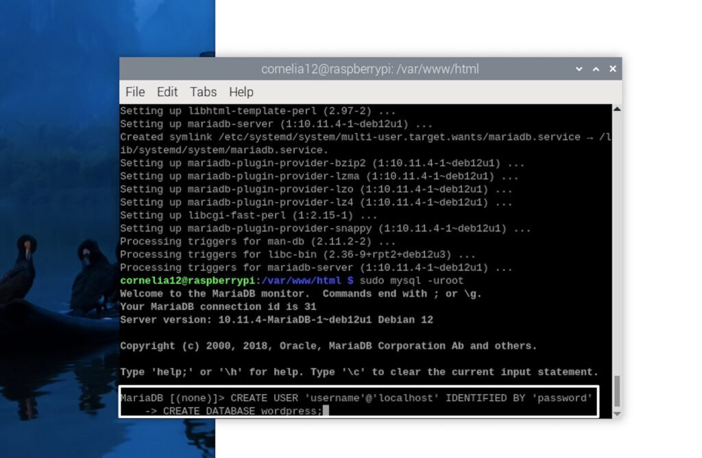 I Installed WordPress on Raspberry Pi: My Experience and Findings