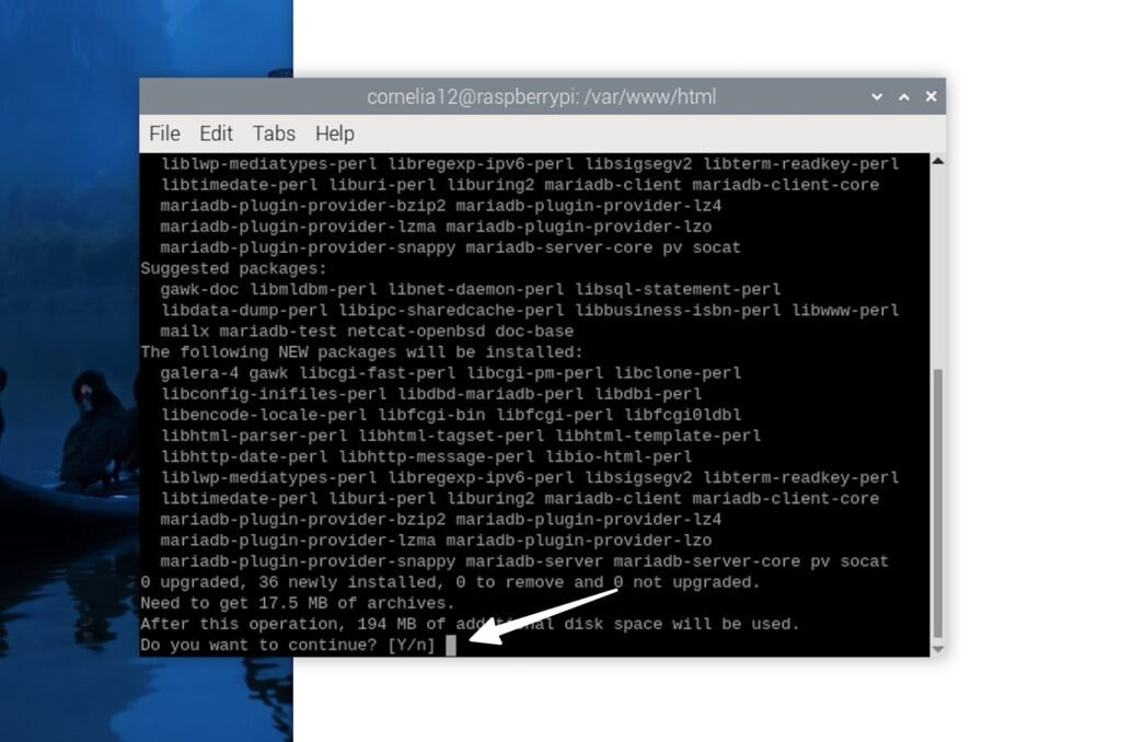 I Installed WordPress on Raspberry Pi: My Experience and Findings