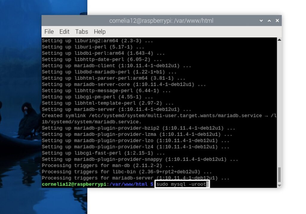 I Installed WordPress on Raspberry Pi: My Experience and Findings