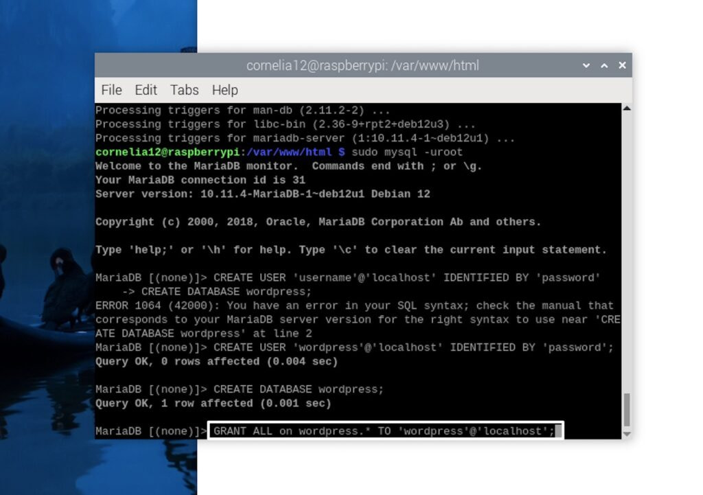 I Installed WordPress on Raspberry Pi: My Experience and Findings