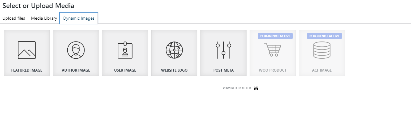 WordPress Dynamic Content: What It Is and How to Create It