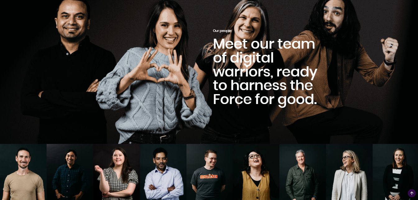 How to Create a "Meet the Team" Page in WordPress