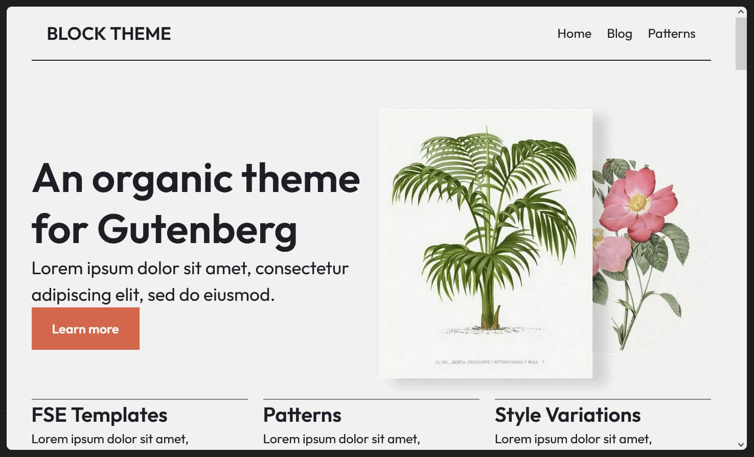 10 Most Popular and Best WordPress Block Themes of 2024