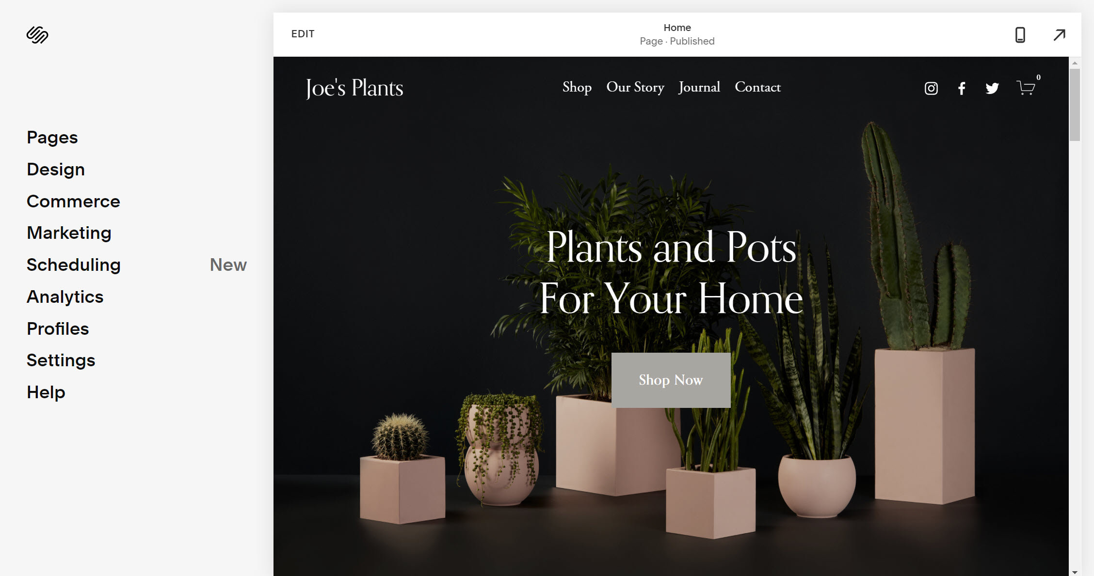 Squarespace Tutorial: How to Build a Squarespace Website