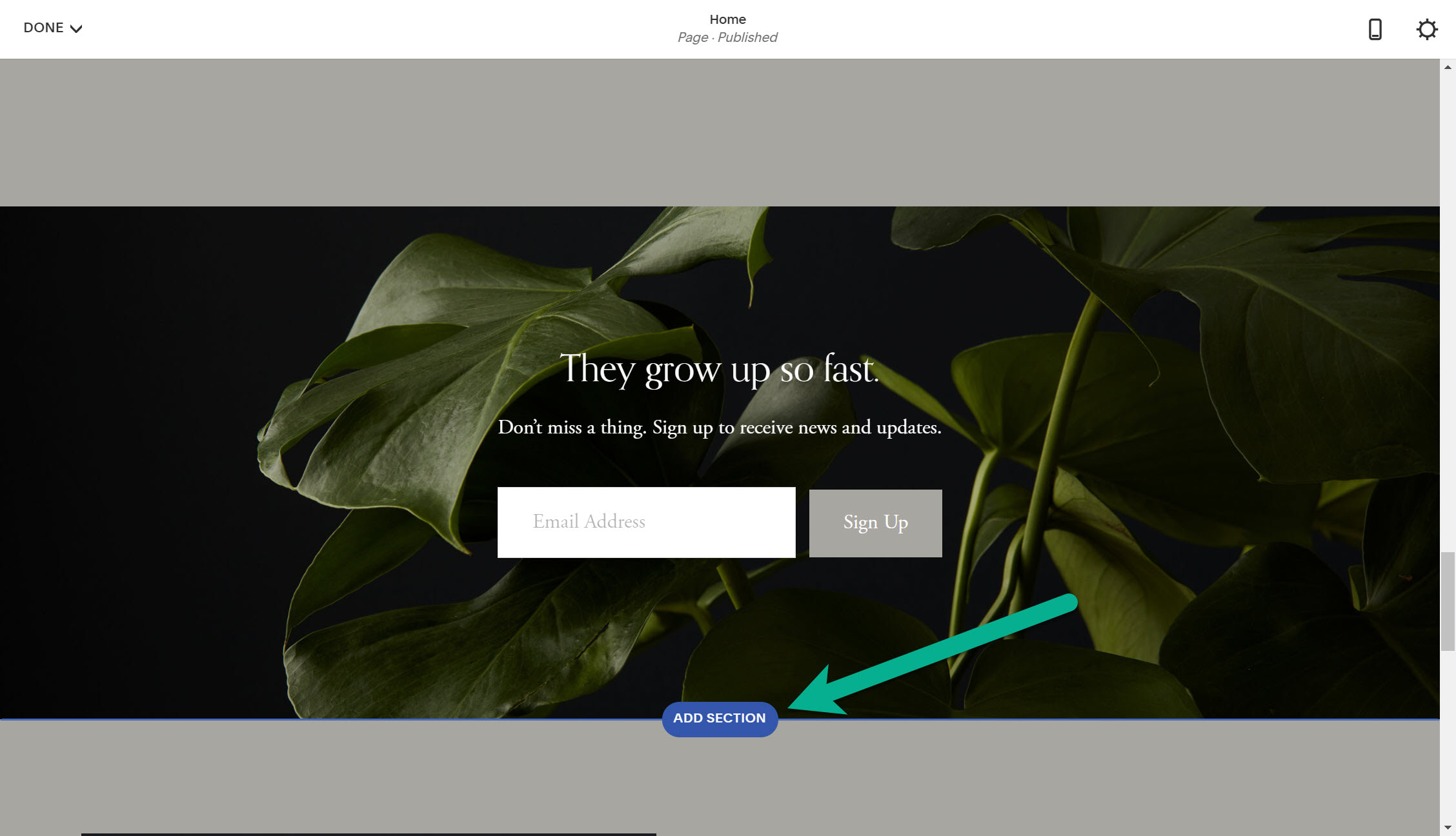 Squarespace Tutorial: How to Build a Squarespace Website