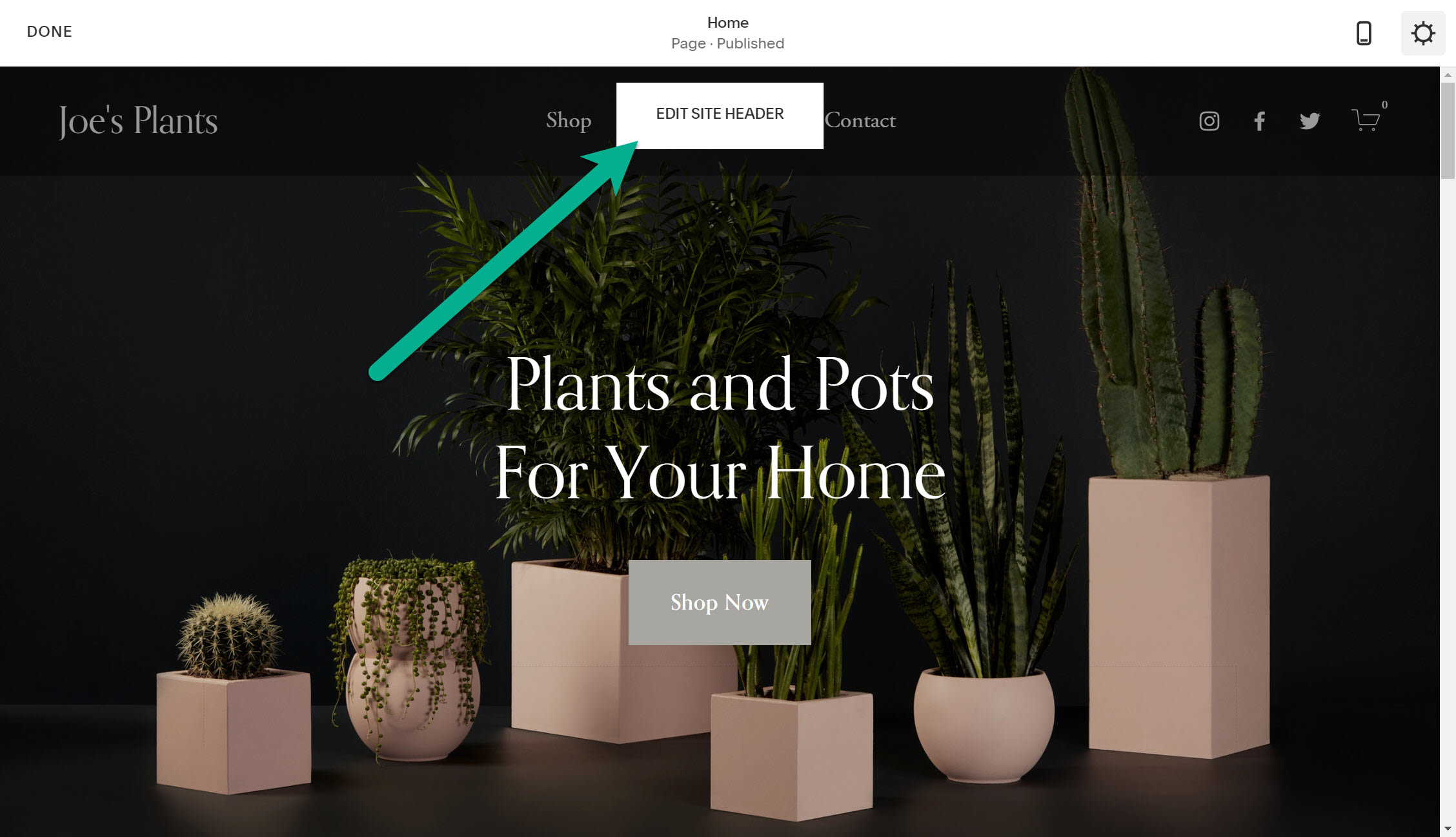 Squarespace Tutorial: How to Build a Squarespace Website
