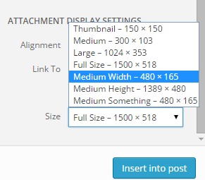 WordPress Custom Image Sizes: How to Add and Use Them | WPShout