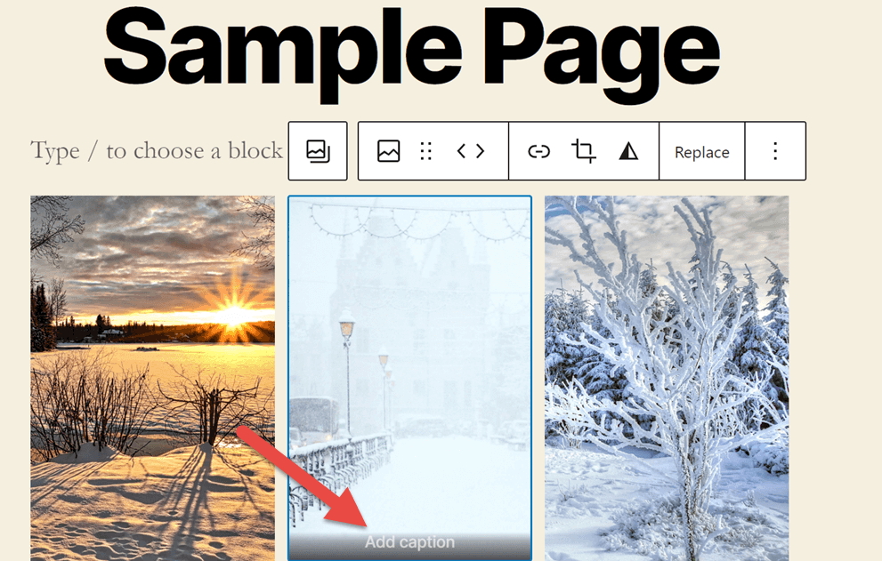 How to Create a Gallery in WordPress