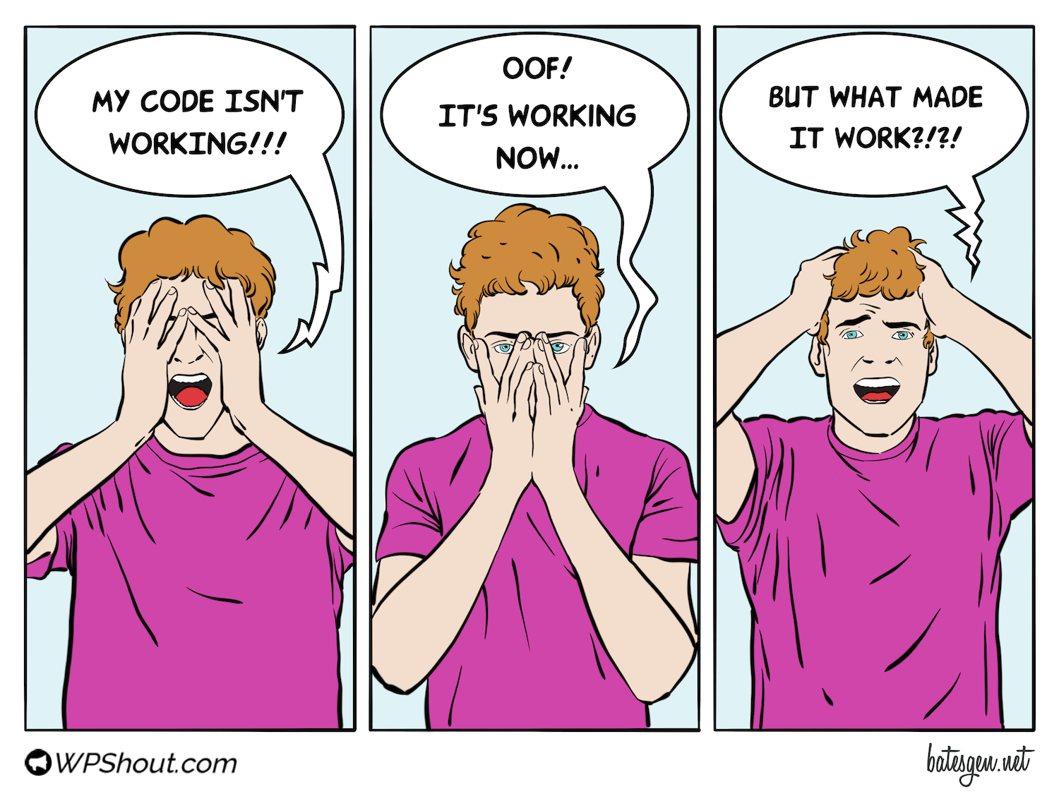 Developer Comics - WPShout